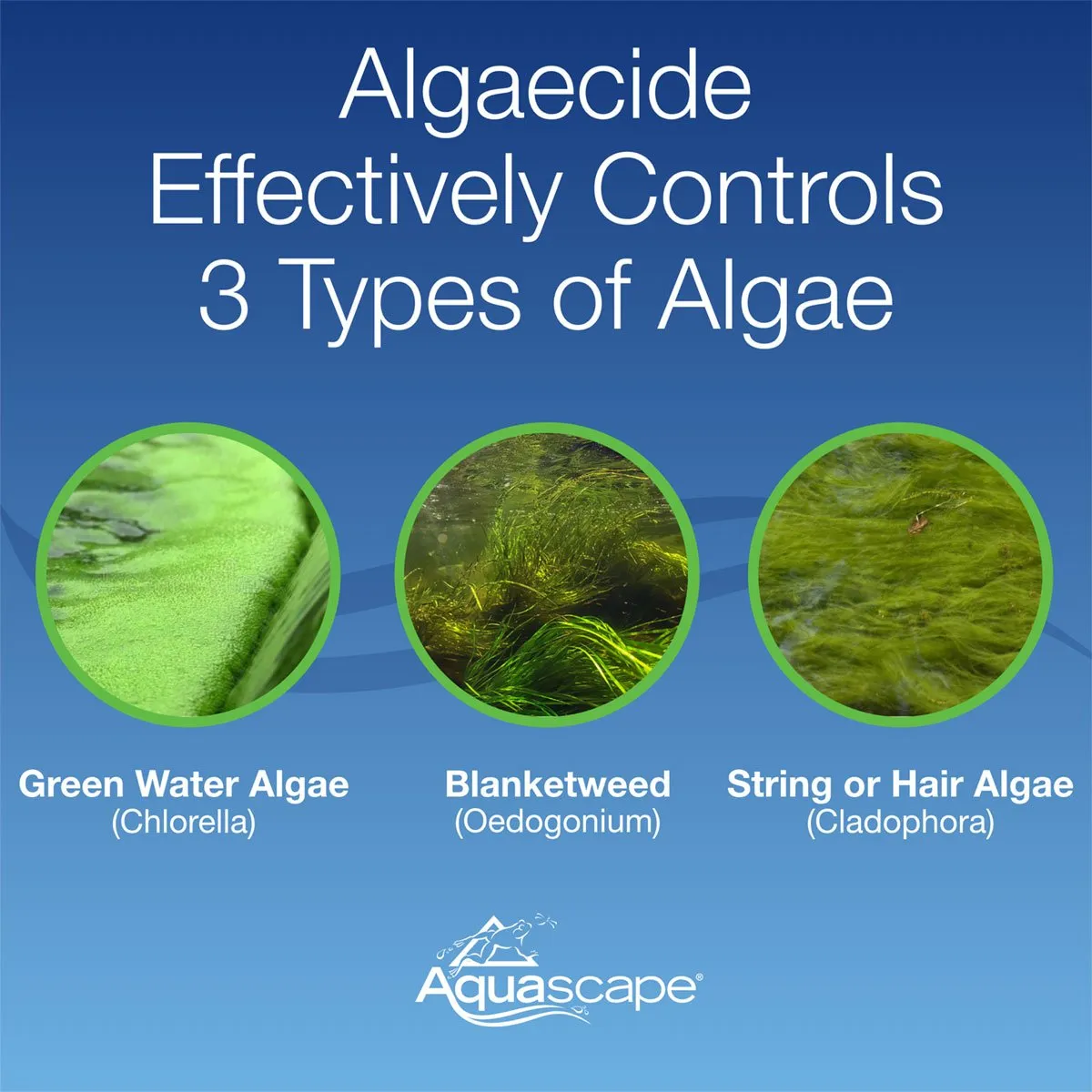 Algae Growth In Aerator Pond Aeration Benefits | Enhance And Restore