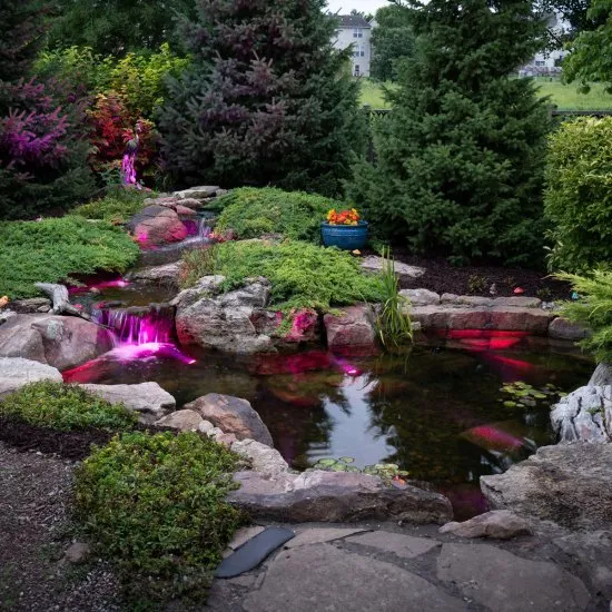 Recreational Pond Kit 19×24 | Aquascape Pond Supplies