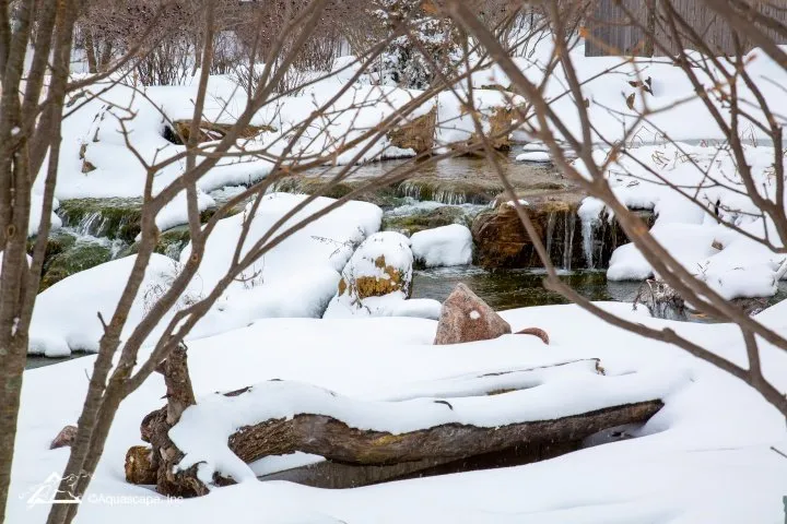 The Many Benefits of Adding Pond Aeration in Winter - Aquascape, Inc.