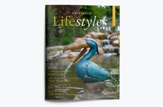 Aquascape Lifestyles Magazine | Pond Tips and Design Inspiration