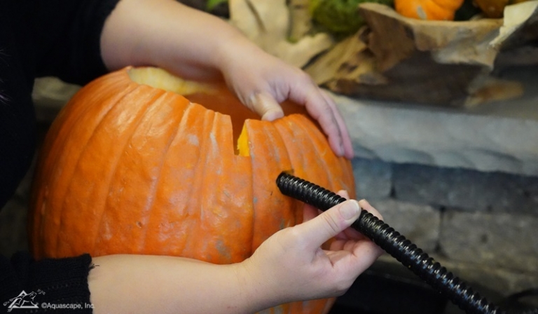 How to Make a Halloween Pumpkin Fountain! - Aquascape, Inc.