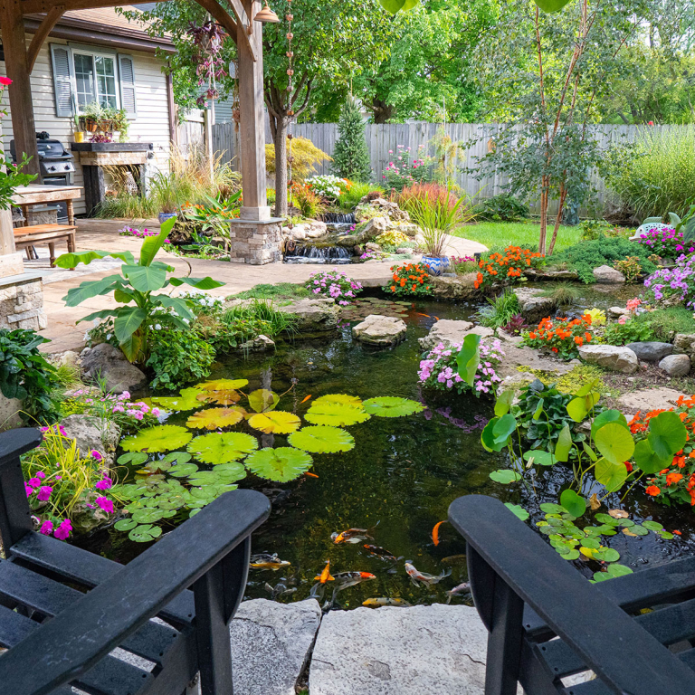 Medium Pond Kit | Complete Water Feature Kit with Pond Lighting