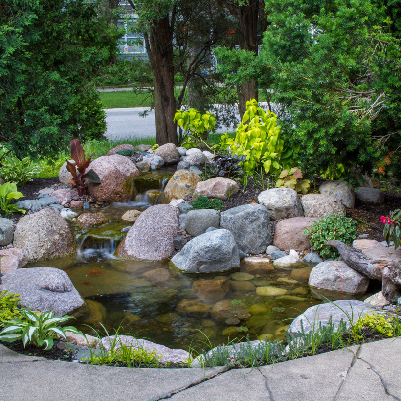 Medium Pond Kit | Complete Water Feature Kit with Pond Lighting