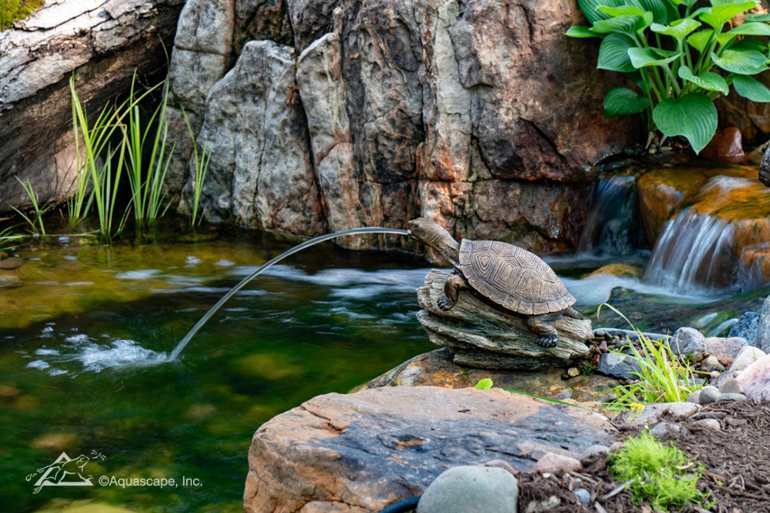 Turtle on Log Spitter - Aquascape, Inc.
