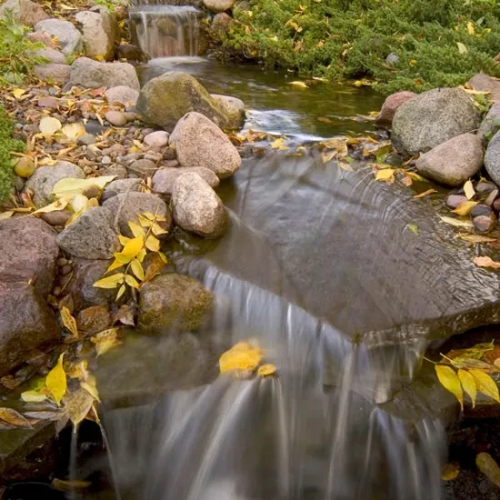 Why Is My Pond Water Brown? - Aquascape, Inc. Why Is My Pond Water Brown? - Aquascape, Inc.