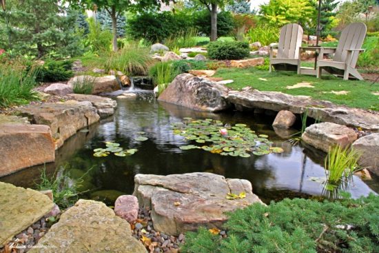 How to Naturalize Your Water Features - Aquascape Professionals