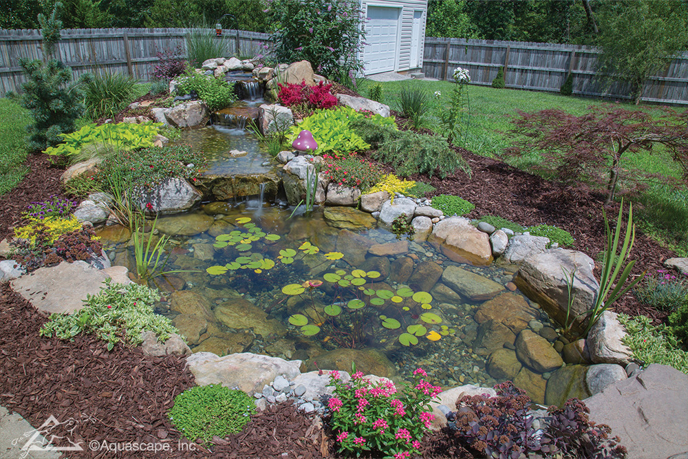 Pond Country - Aquascape Hands of the Artist